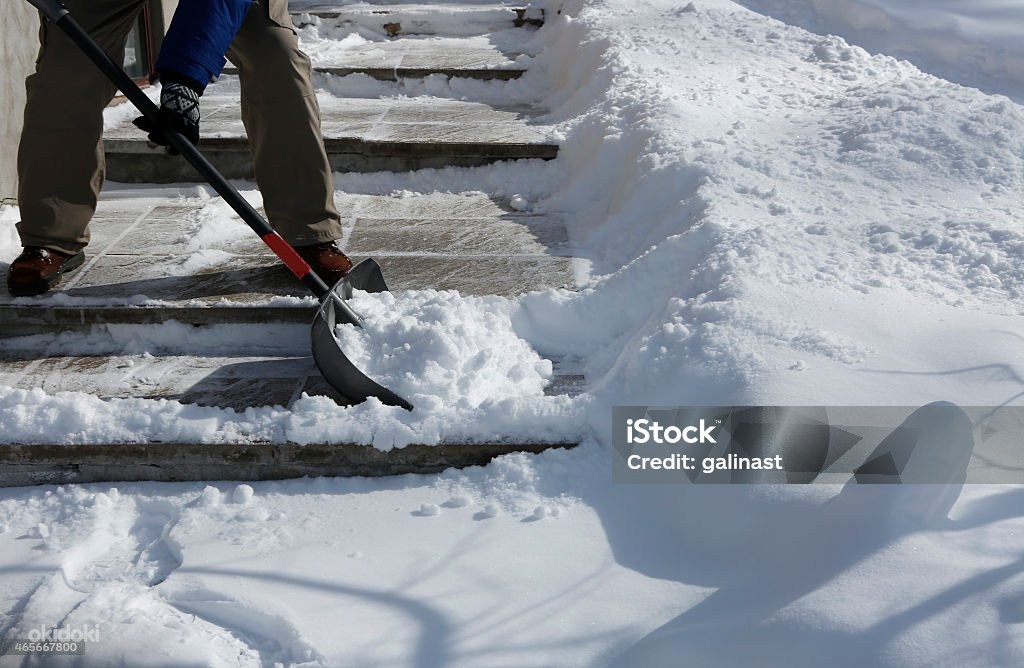 Lumekoristus - Tallinn, Lumekoristus – okidoki