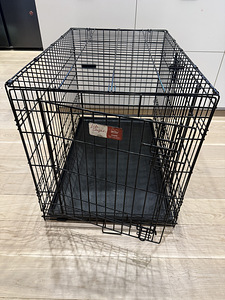 Животные - купить недорого на okidoki