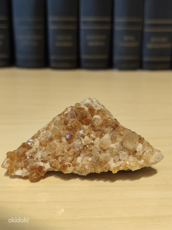 Kodu - Tallinn, Kodu ja aed – okidoki