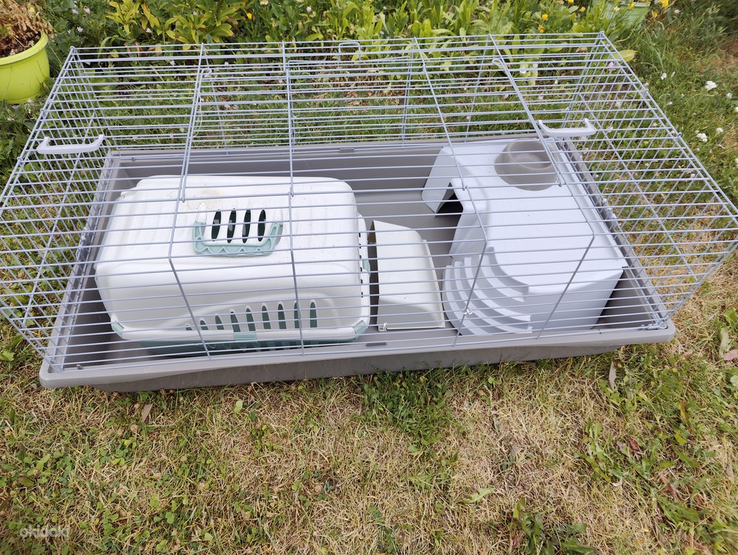 Suur merisea / jänese puur - Tallinn, Loomatooted – okidoki