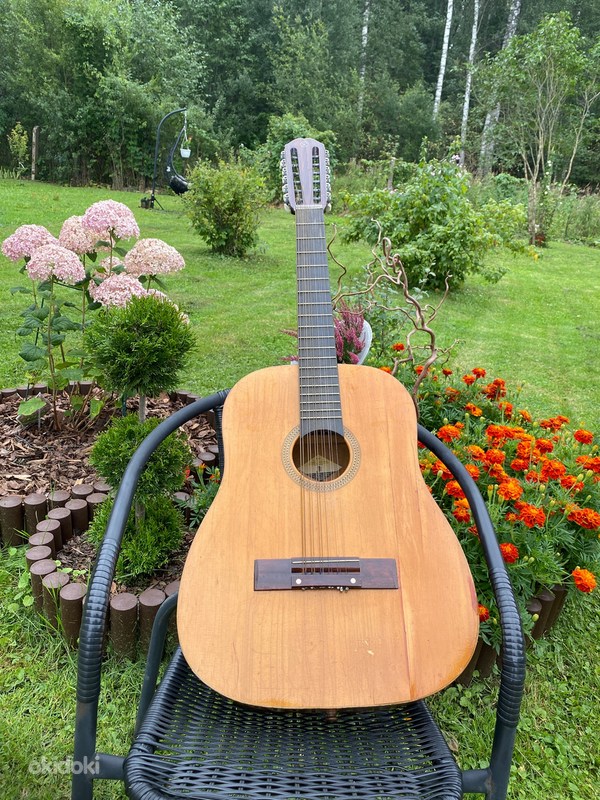 12 keelne kitarr - Pärnu, Kitarrid – okidoki